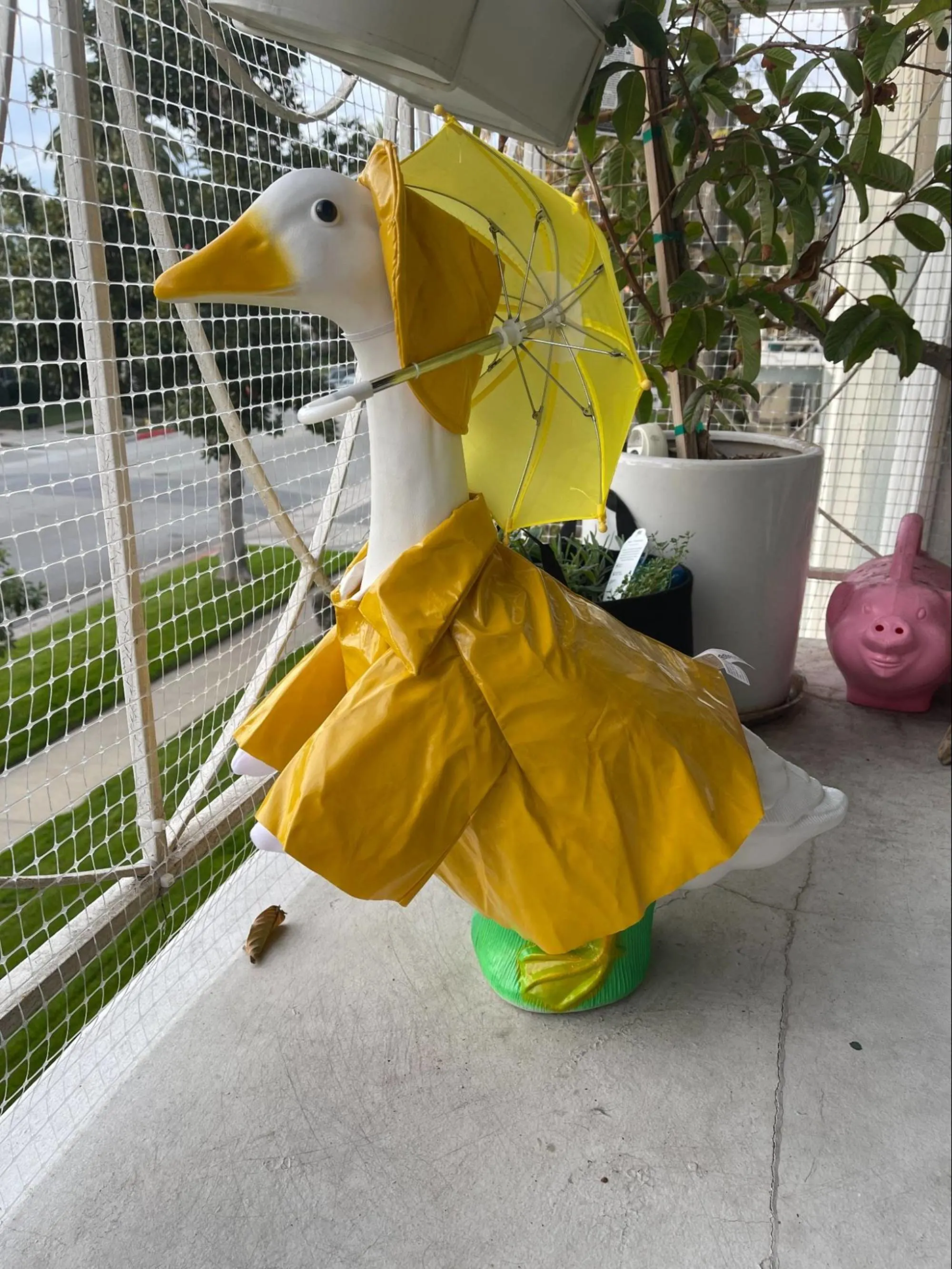 The History of Porch Geese | Porch Goose Lovers of Arkansas